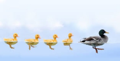 Checklists – Just In Case - Evan Krame